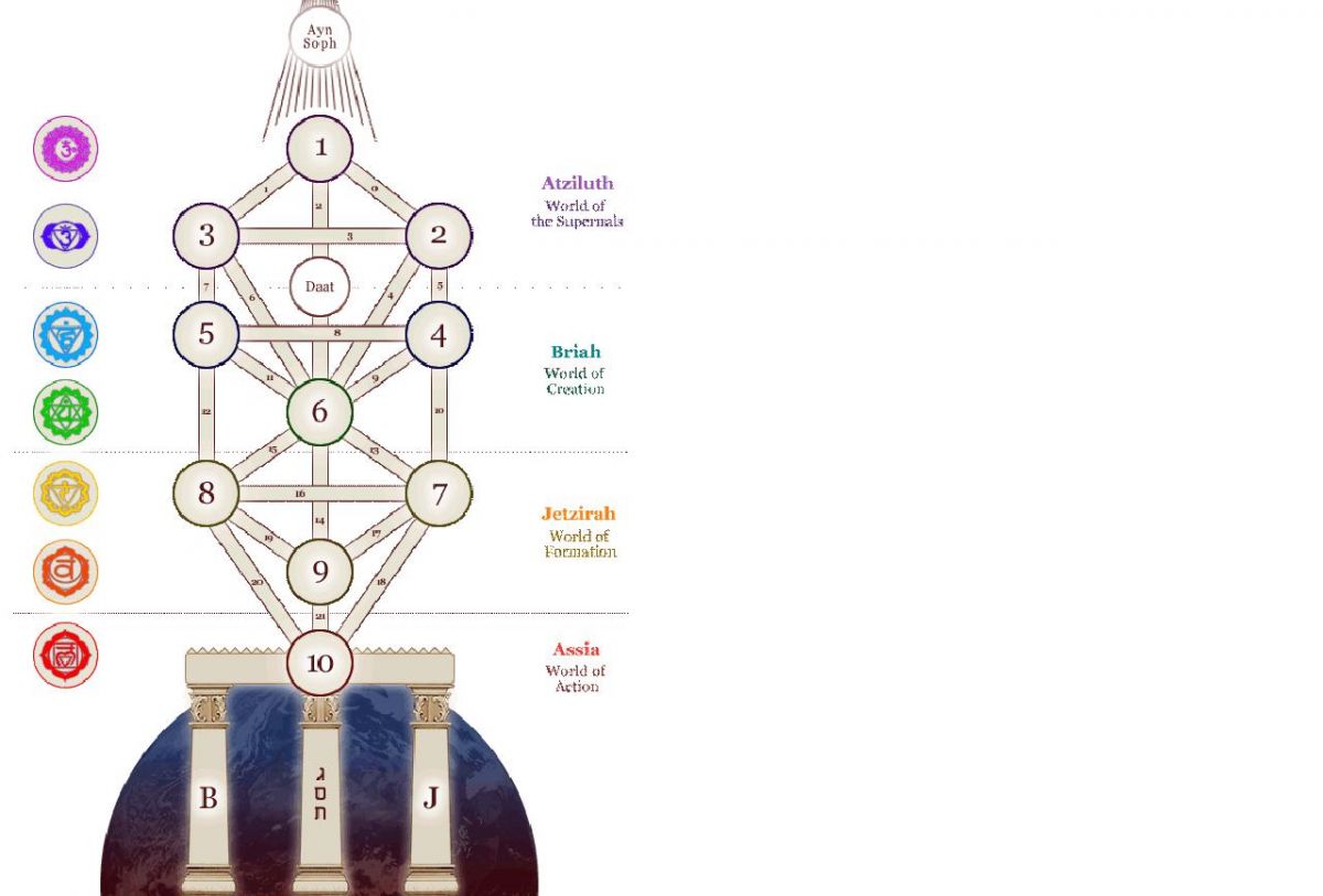 File:Tree Of Life.JPG - Wiki